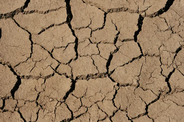 Soil Quality and Your Home's Stability- PowerLift Foundation Repair